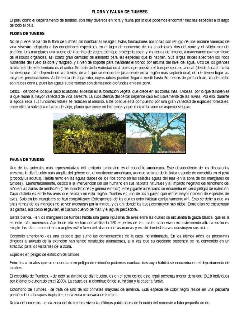 Flora y Fauna de Tumbes: Especies Clave | PDF | Ciencia y matemáticas