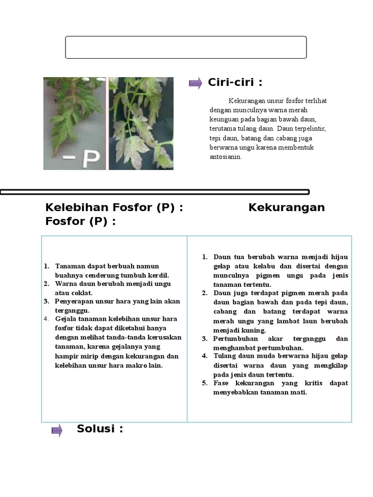 Defisiensi Tanaman Melon | PDF