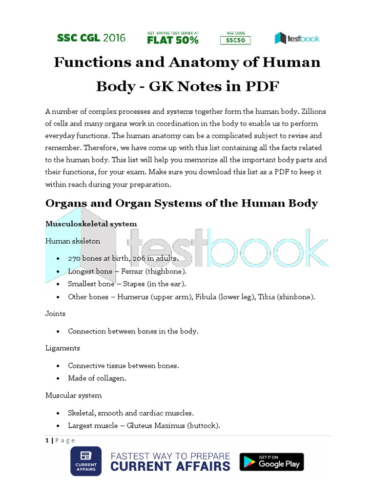 Functions and Anatomy of Human Body GK Notes in PDF | PDF | Central ...