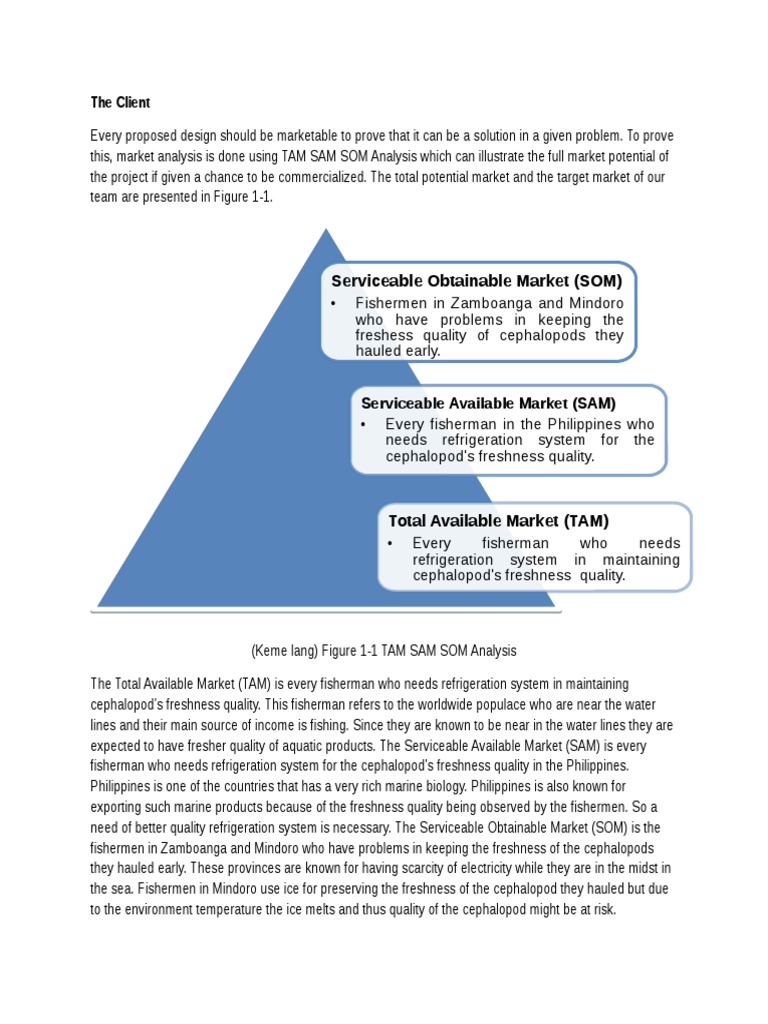 The Client: Serviceable Obtainable Market (SOM) | PDF