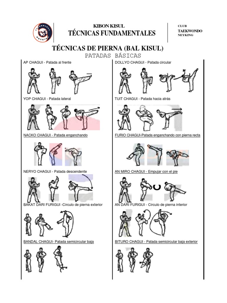 Patada Circular De Taekwondo