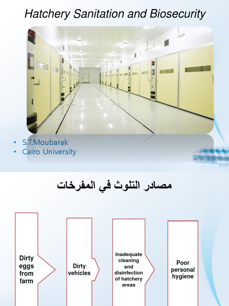 Hatchery Sanitaion and Biosecurity | PDF | Detergent | Surfactant