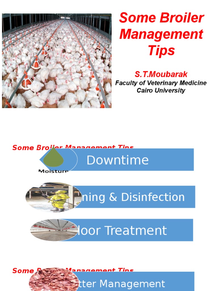 Management of Broiler Farms | PDF | Sodium Hydroxide | Calcium