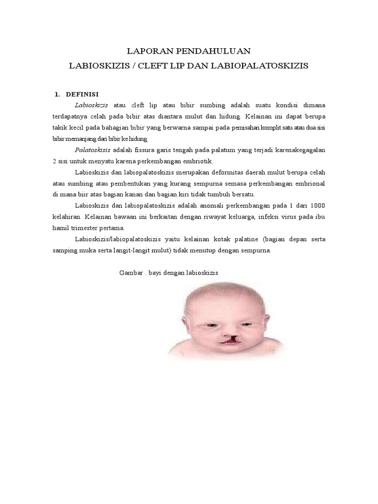 Labioskizis Dan Labiopalatoskizis | PDF