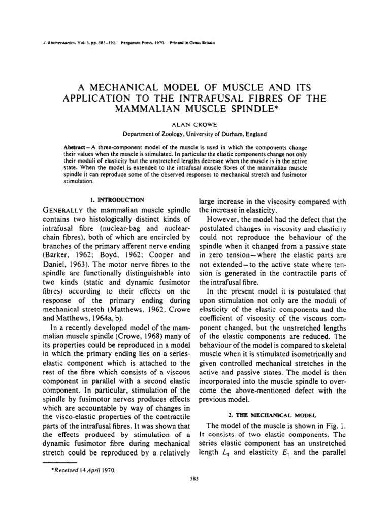 Mechanical Muscle | Muscle Contraction | Muscle