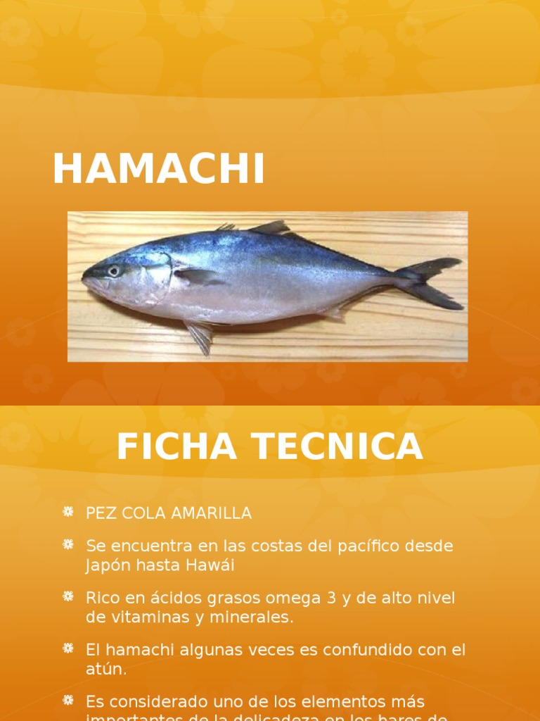 Hamachi | PDF