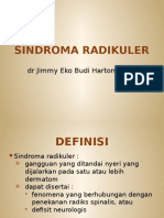 Peta Dermatome dan Inervasi Saraf | PDF