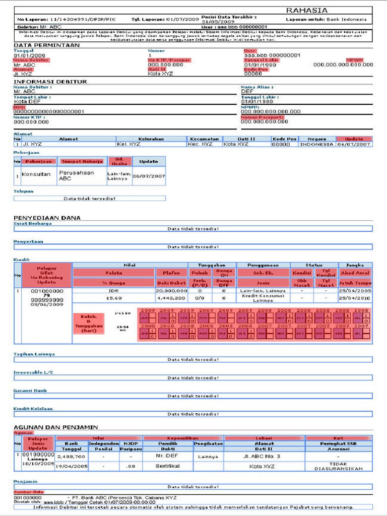 Contoh Hasil BI Checking | PDF