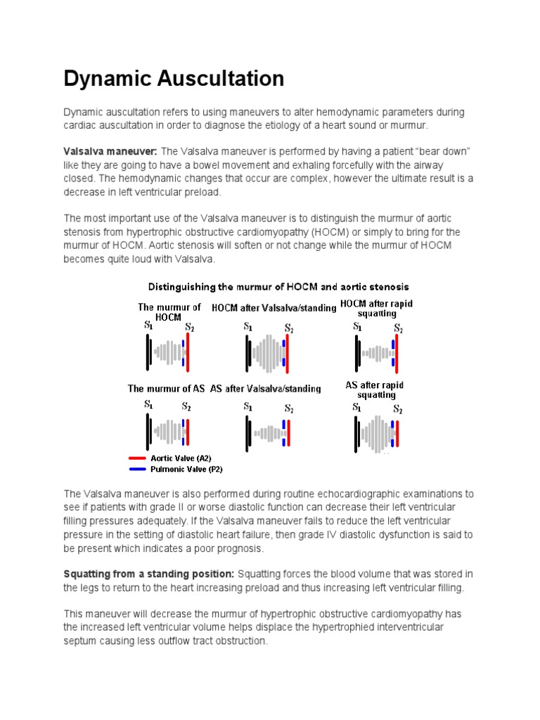 Dynamic Auscultation Maneuvers Explained | PDF | Heart Valve ...