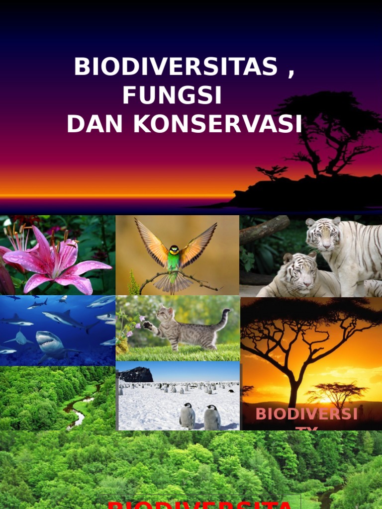 Biodiversitas, Fungsi Dan Konservasi | PDF | Genetic Diversity ...
