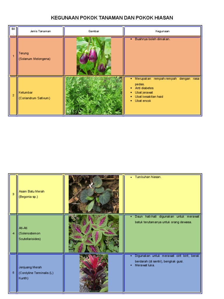 Ciri Ciri Dan Kegunaan Pokok | PDF