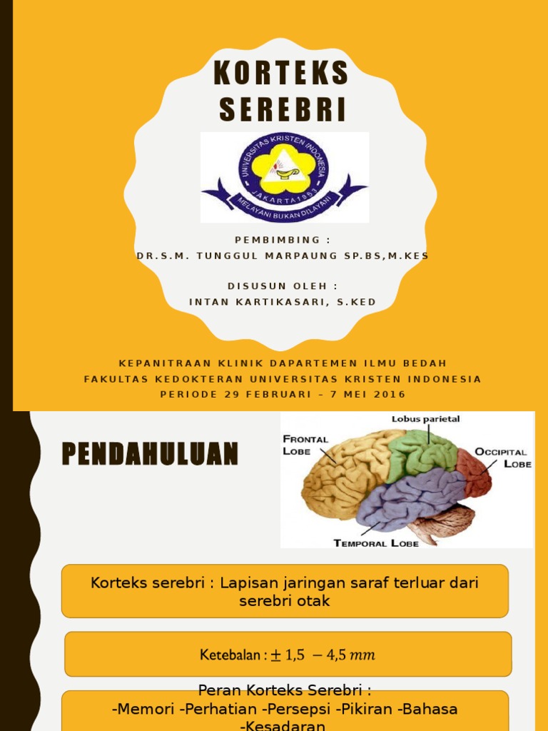 Korteks Serebri | PDF | Kajian Bahasa Asing | Sains & Matematika
