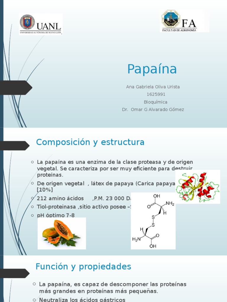 Papaina | PDF