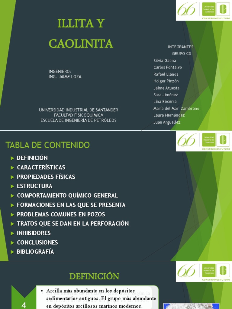 Exposicion Ilita y Caolinita | PDF | Arcilla | Minerales