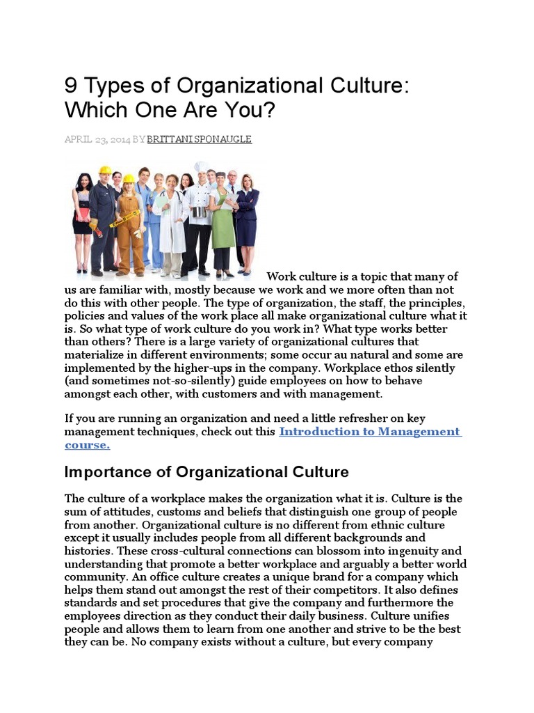 9 Types of Organizational Culture | PDF | Organizational Culture ...