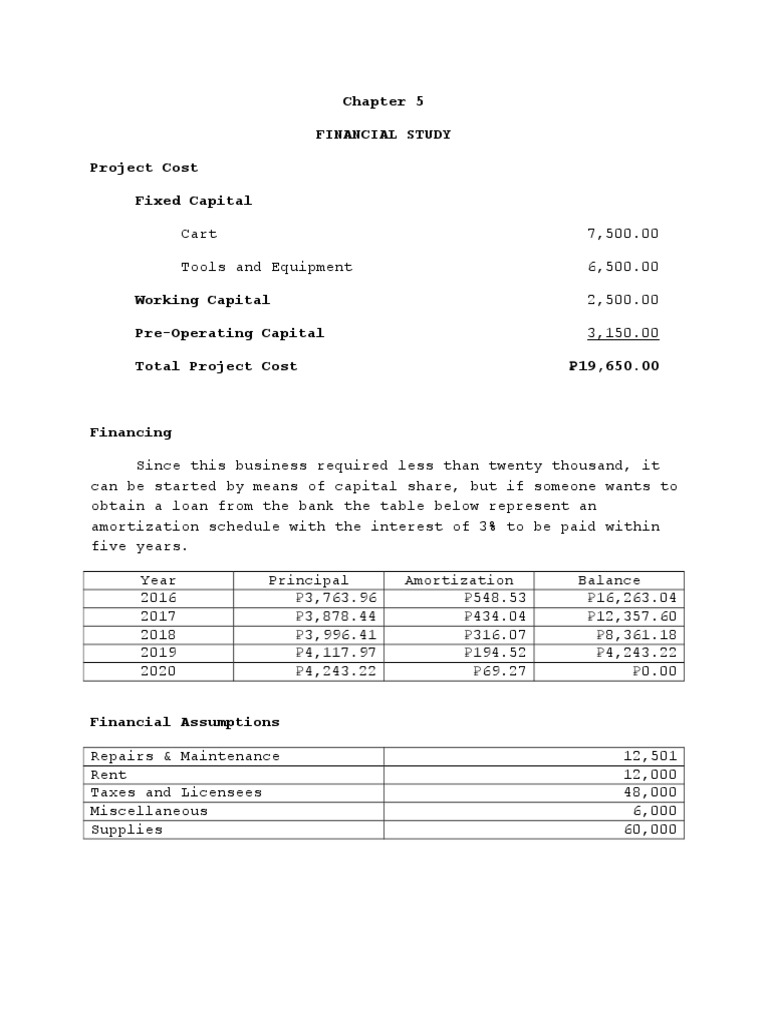 Example of Financial Study | PDF