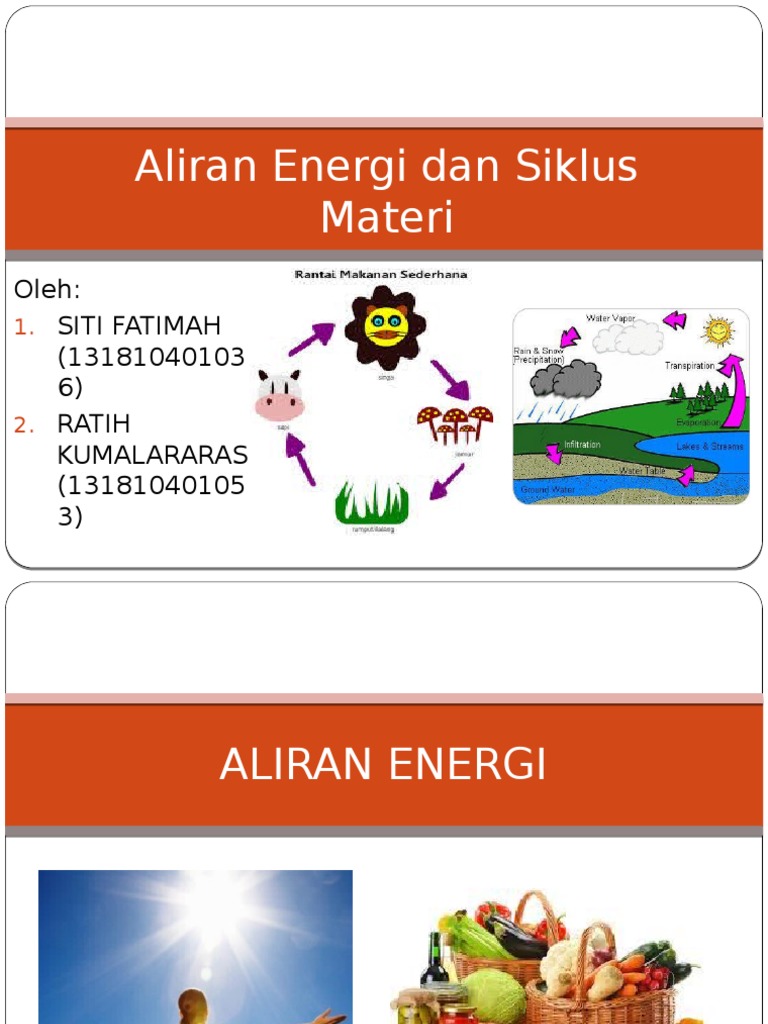 Aliran Energi Dan Siklus Materi | PDF