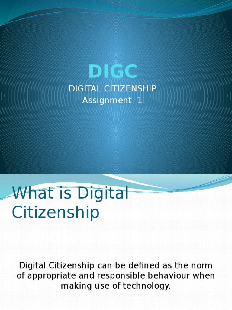 Digital Citizenship Assignment 1 | PDF