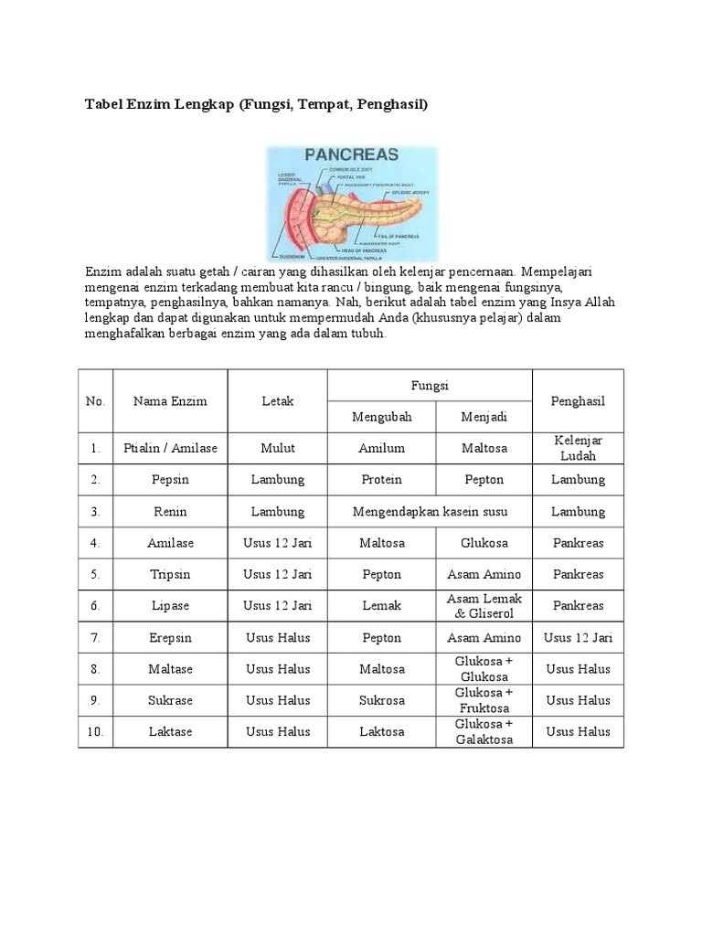 Tabel Enzim Lengkap | PDF