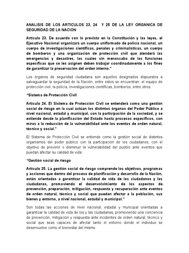 Analisis de Los Articulos 23 | PDF