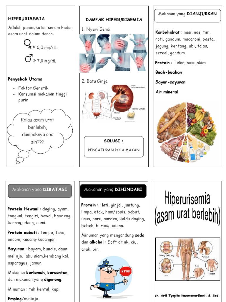 Hiperurisemia Pamflet PDF | PDF