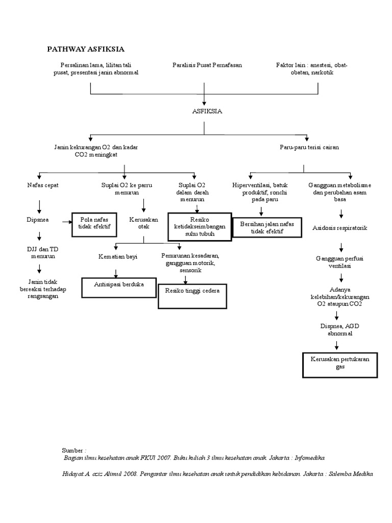 Pathway Asfiksia | PDF