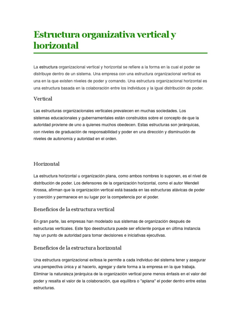 Estructura Organizativa Vertical y Horizontal | PDF | Liderazgo | Toma ...
