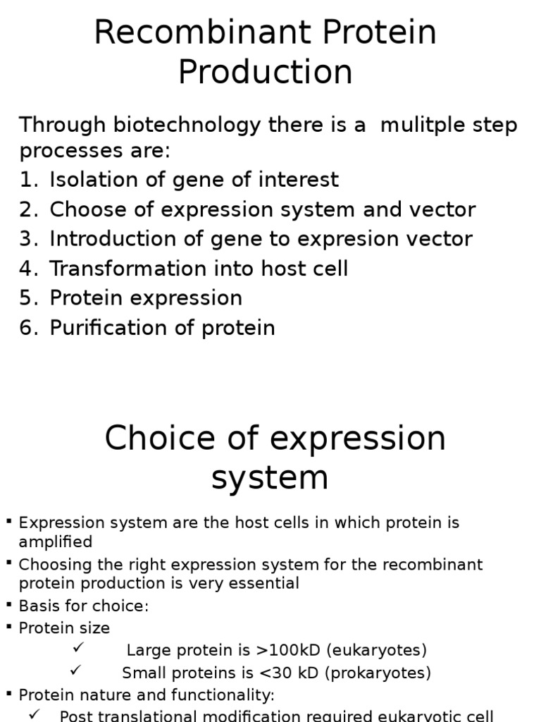 Recombinant Protein Production Process | PDF