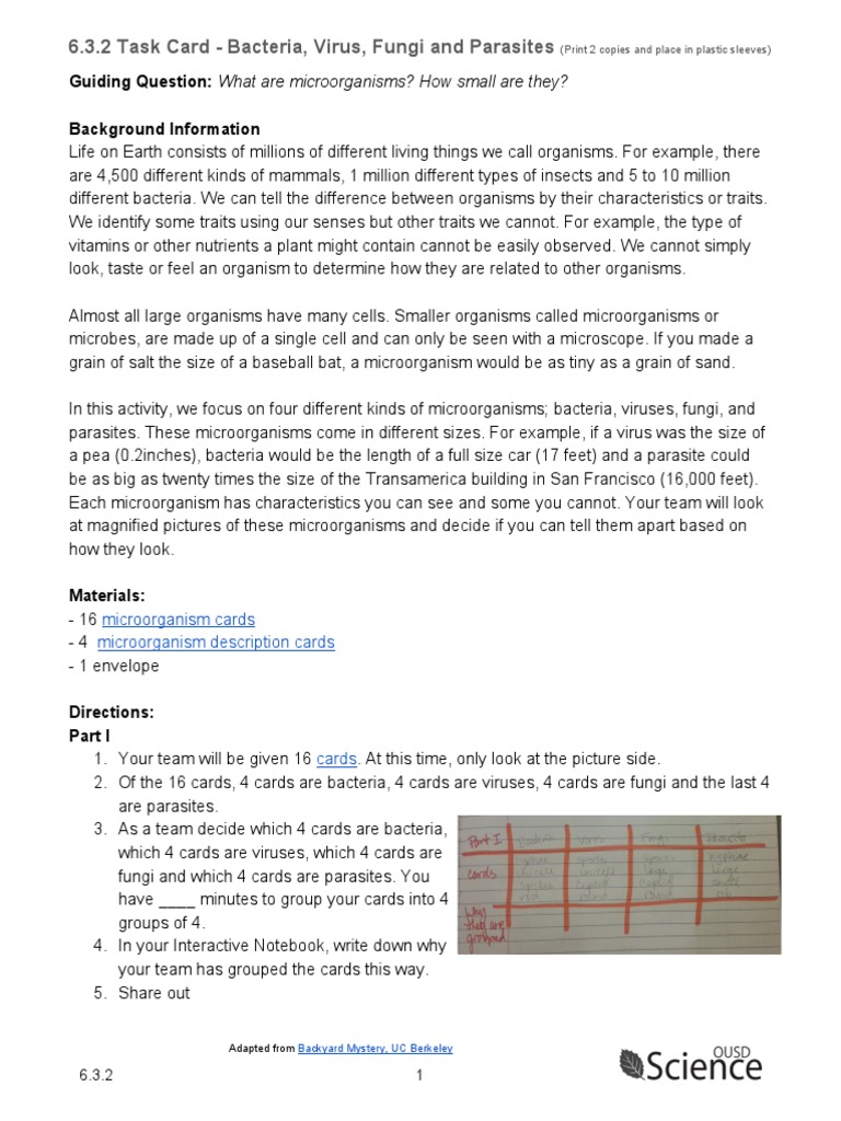 Microorganism Identification Task | PDF | Microorganism | Organisms