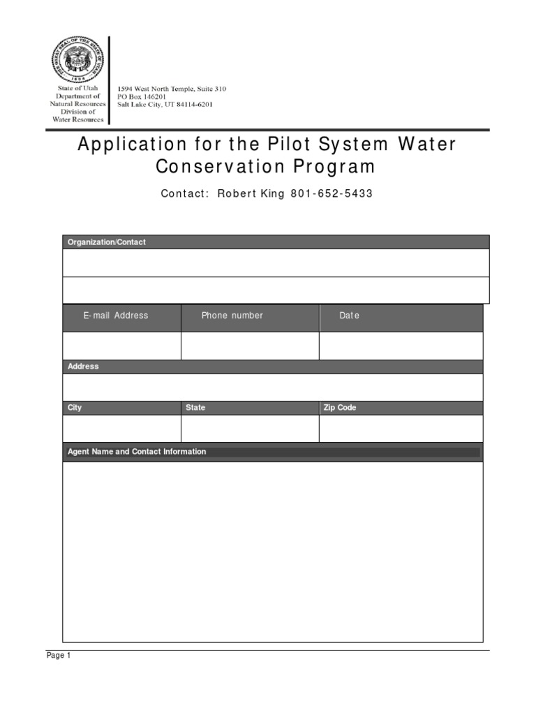 Pilot System Application Form | PDF
