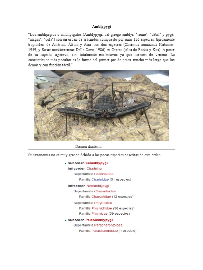 Amblypygidos | PDF | Artrópodos | Naturaleza