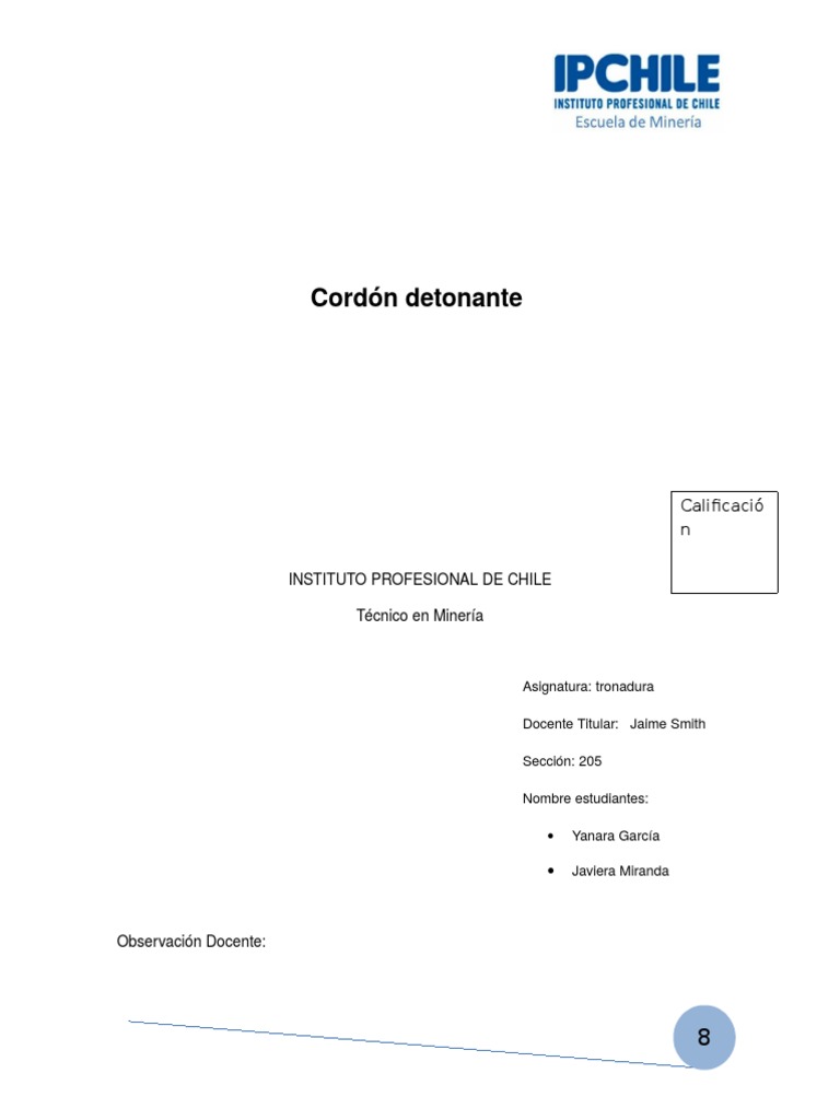 Informe Cordon Detonante | PDF | Material explosivo | Pirotécnica