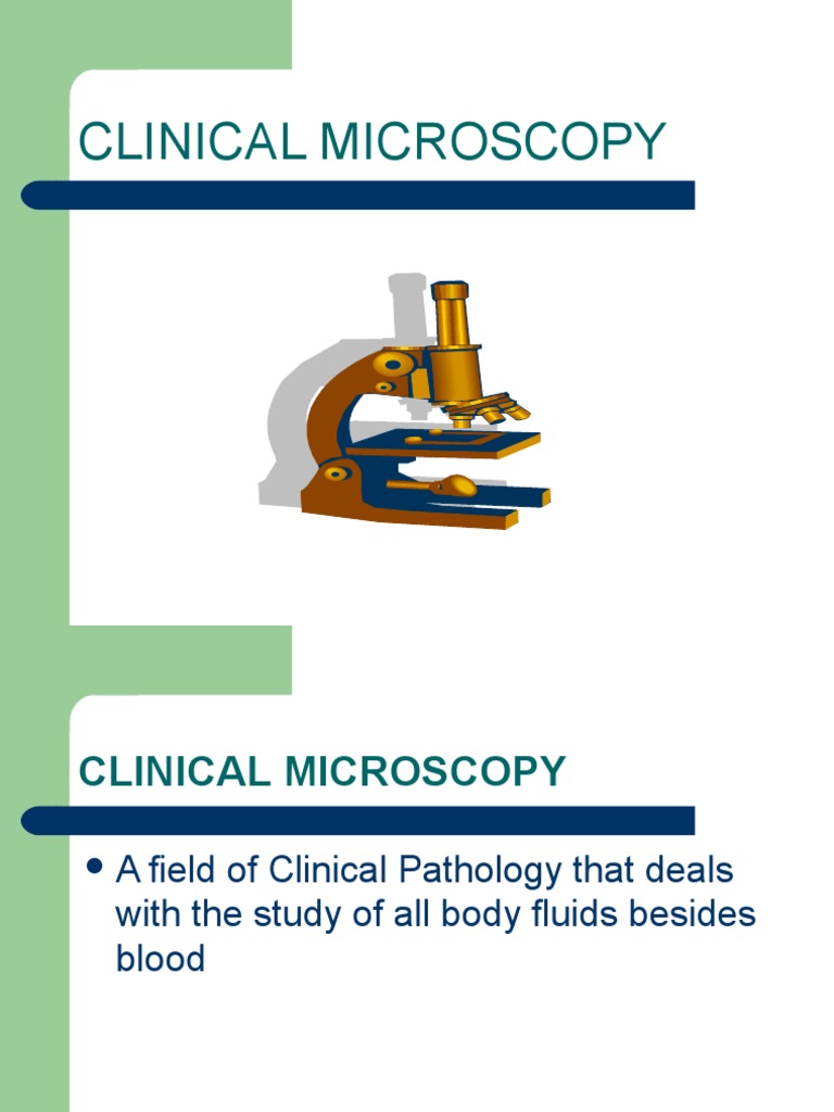 Overview of Clinical Microscopy | PDF | Renal Function | Kidney