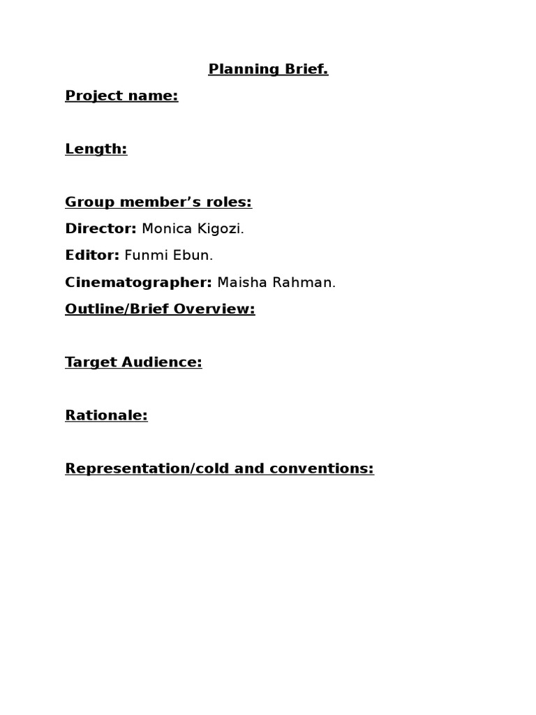 Planning Brief | PDF