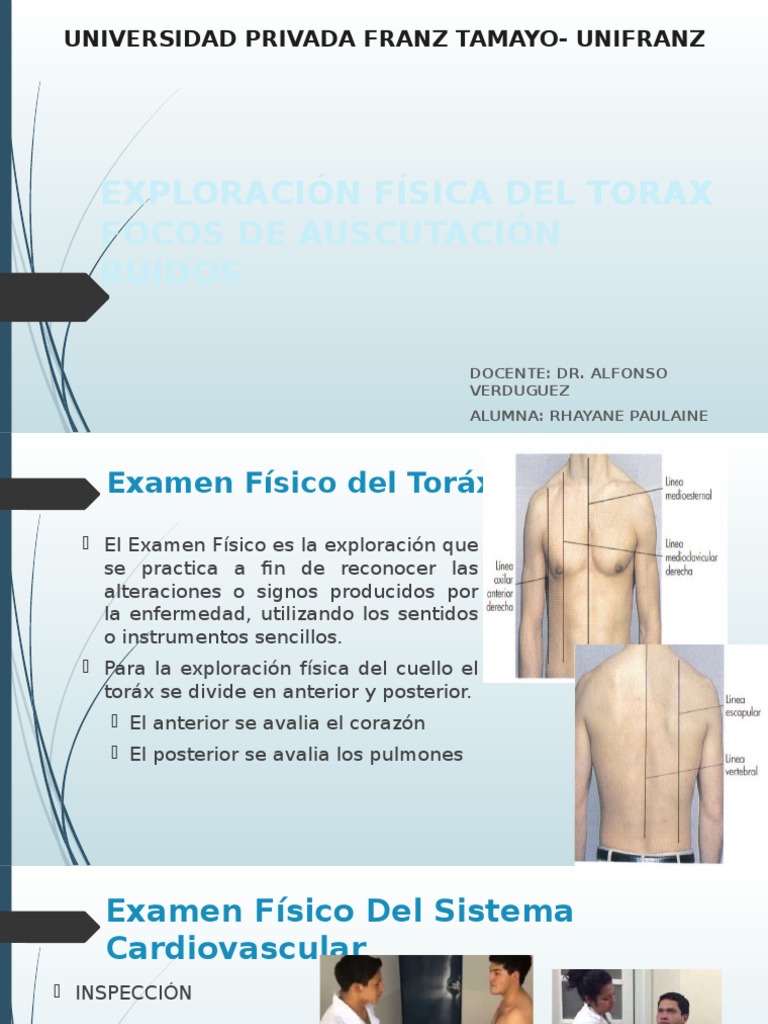 Examen Fisico del Torax | Sistema cardiovascular | Especialidades Medicas