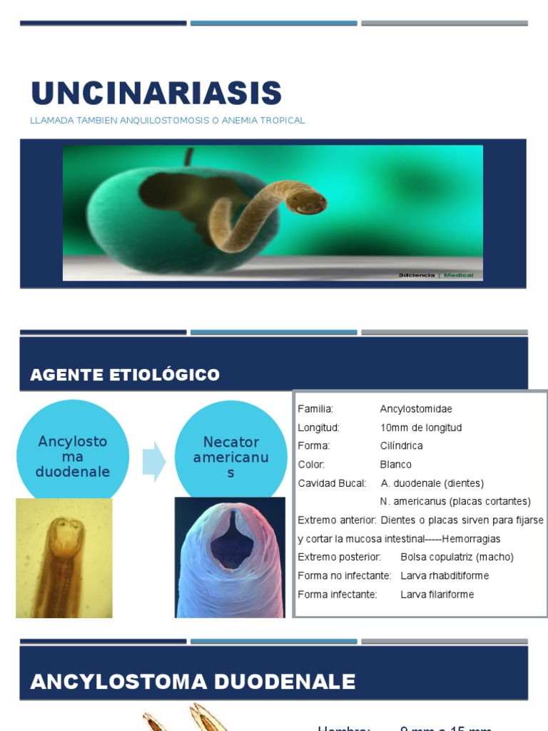 UNCINARIASIS | PDF