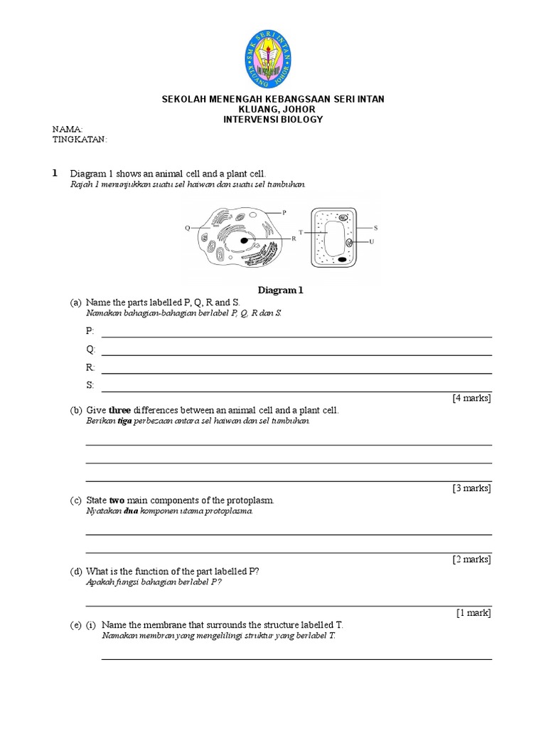 Bab 2 Kertas 2 Biology f4 | PDF