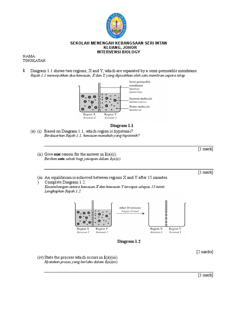 Bab 3 Kertas 2 f4 Biology | PDF