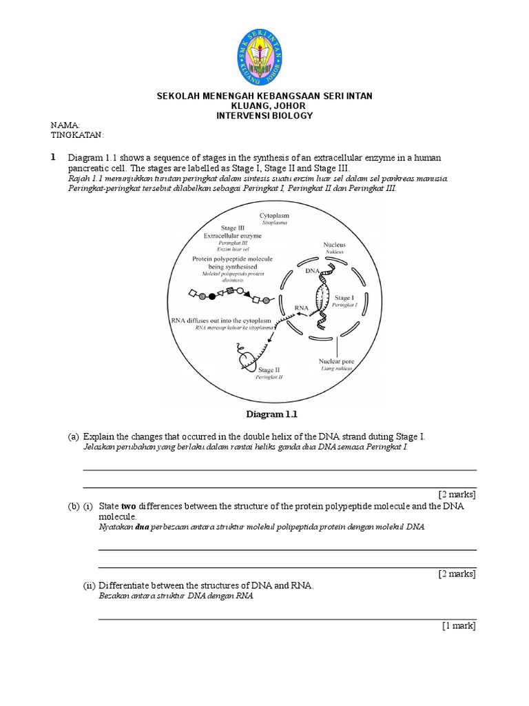 Bab 4 Kertas 2 f4 Biology | PDF