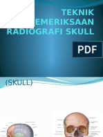 Thorax PA, AP Dan Lateral, RLD Dan LLD | PDF