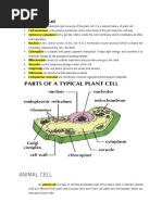 Cyniclomyces Guttulatus | PDF | Pathology | Dogs