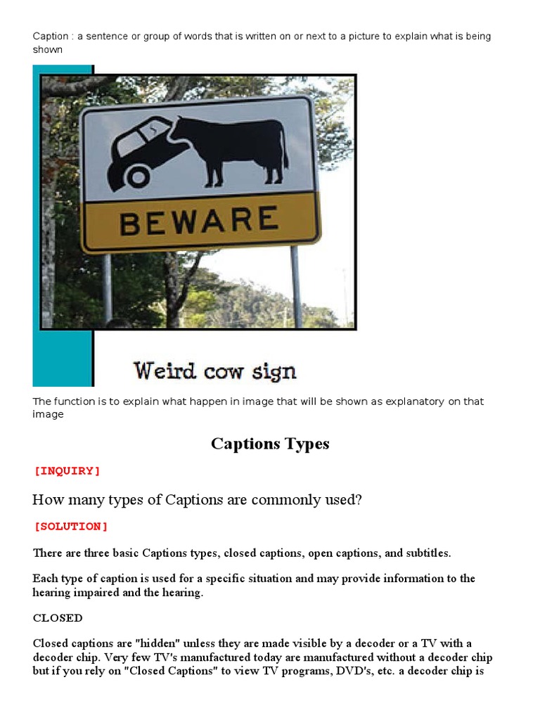 Captions Types: How Many Types of Captions Are Commonly Used? | PDF ...