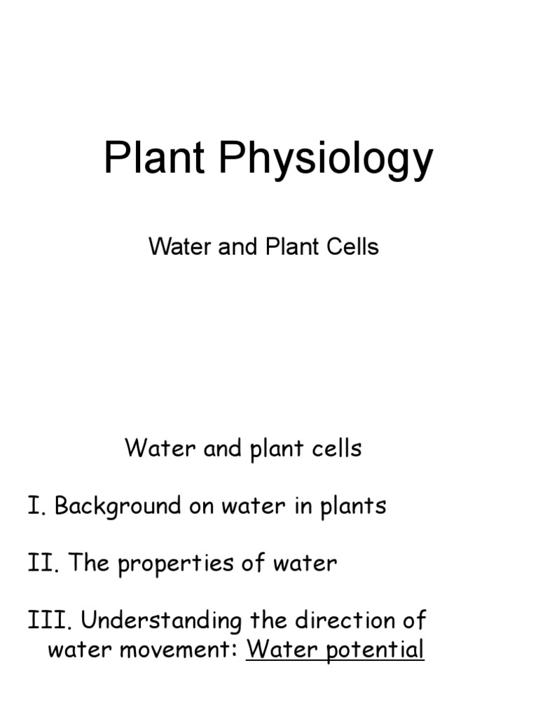 Water Dynamics in Plant Cells | PDF | Properties Of Water | Osmosis