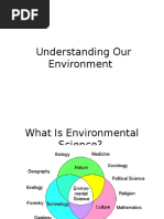 Environmental Worldviews | PDF