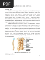 Anatomi Dan Fisiologi Vertebrae Cervical | PDF