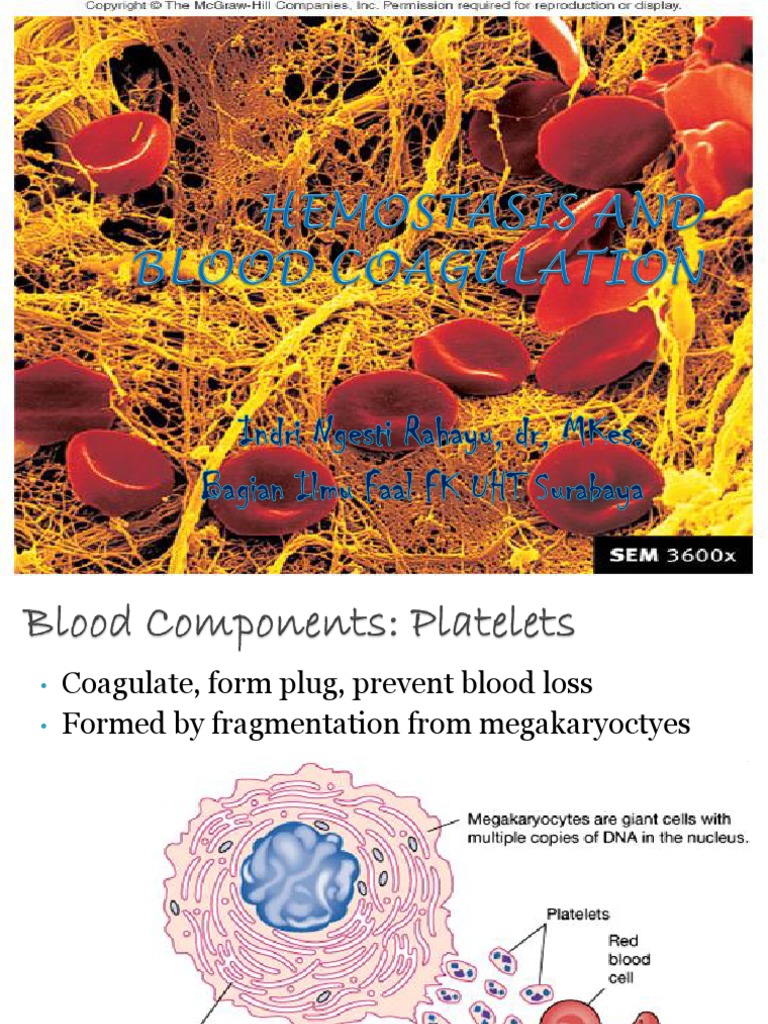 Hemostasis And Blood Coagulation Pdf Pdf Coagulation Platelet