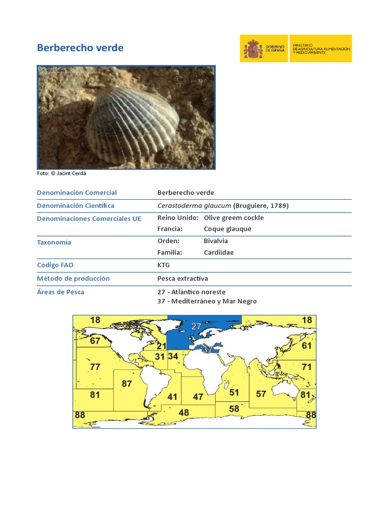 Berberecho Verde Tcm7-336712 | PDF | Tecnología