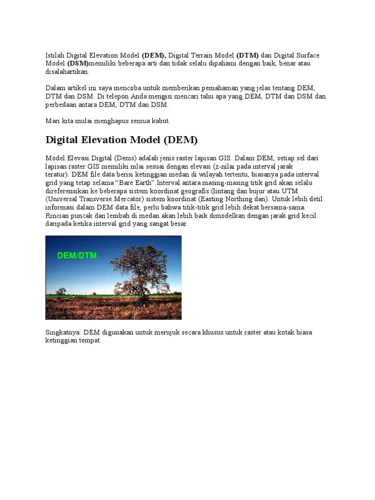 Istilah Digital Elevation Model | PDF