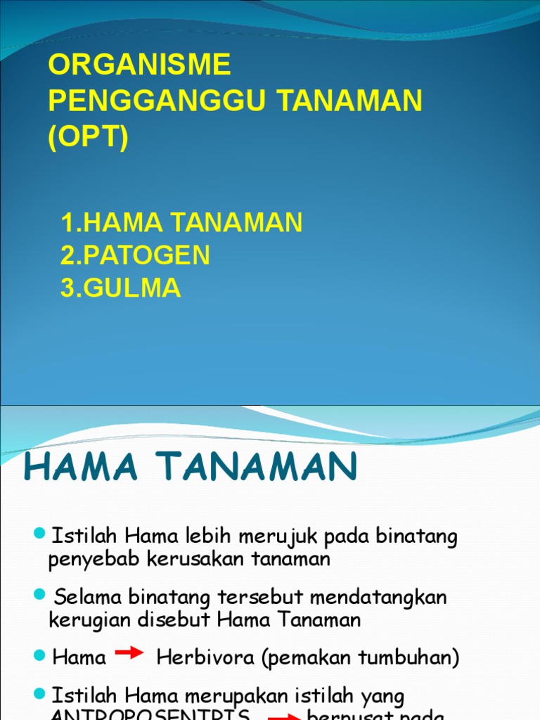 II. Pengenalan Tentang Kelompok Jenis Hama | PDF
