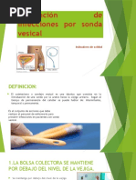 CISTOCLISIS | PDF | Vejiga urinaria | Orina